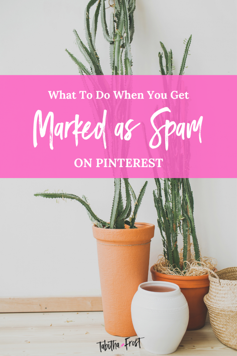 Getting Marked as Spam on Pinterest: What to Do • Tabitha Frost